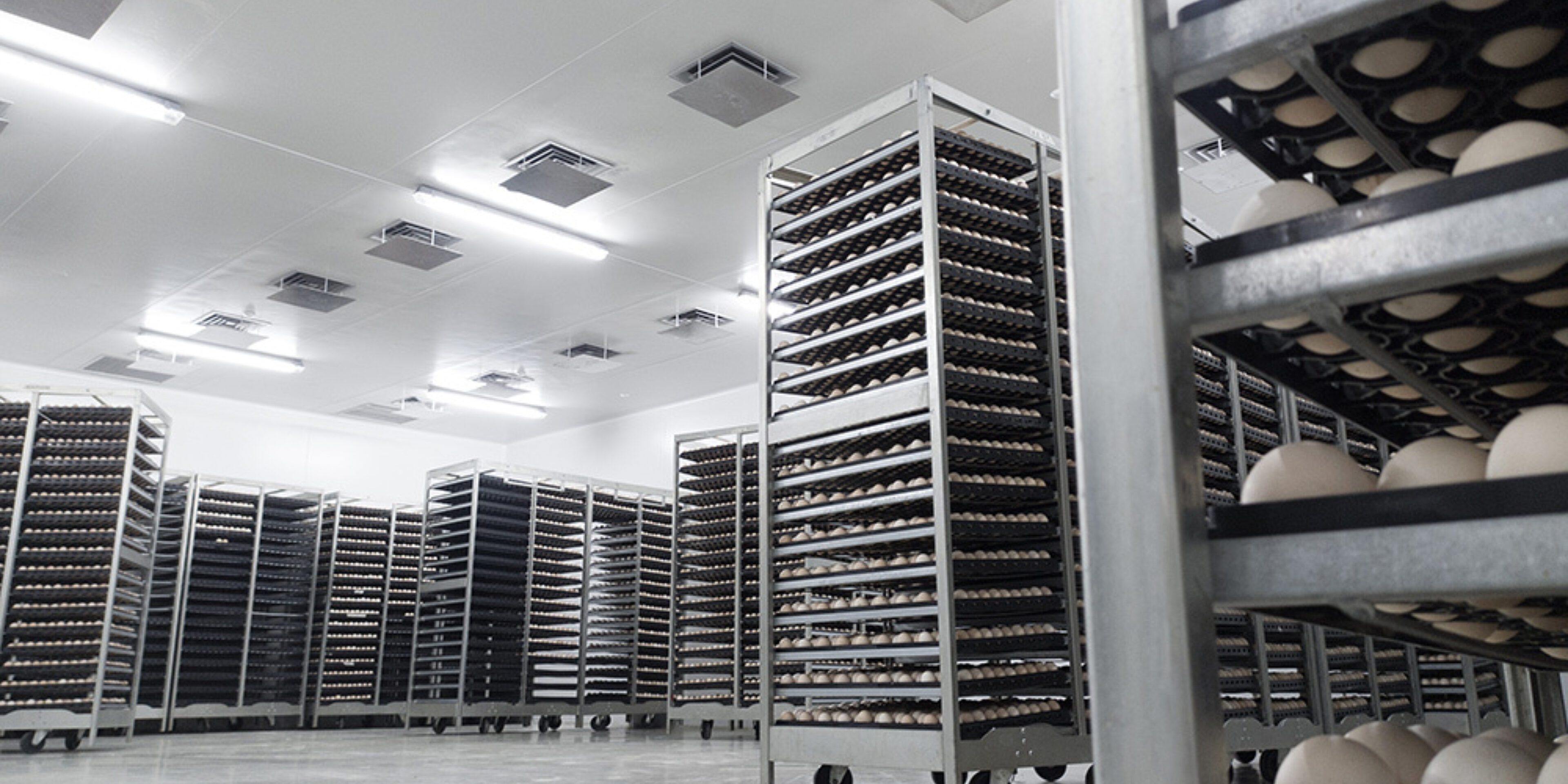 Best Casters for Walk-In Coolers and Cold Storage Tanks | Caster Connection