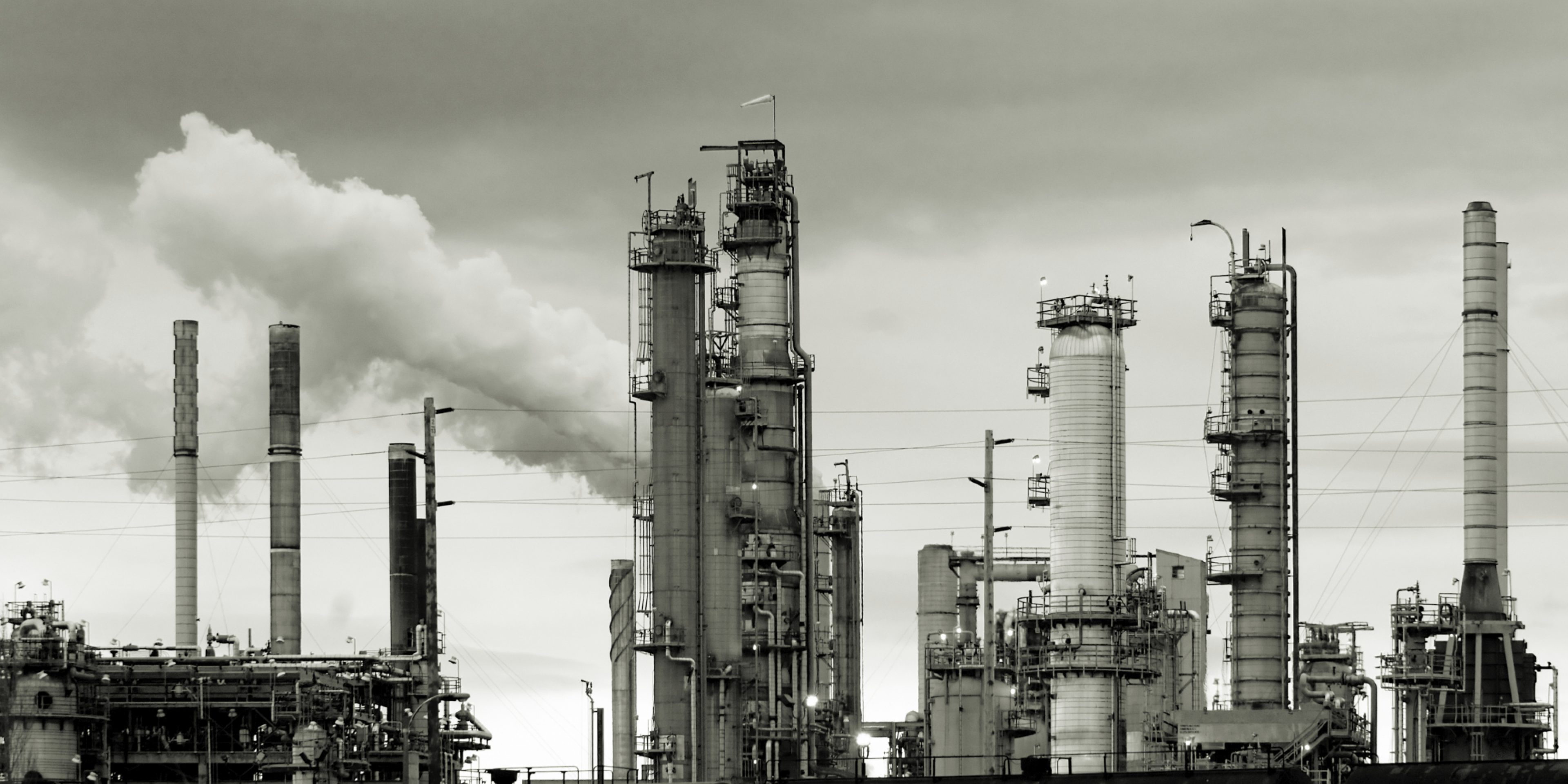 Toe Guards and Brush Guards for Casters | Caster Connection