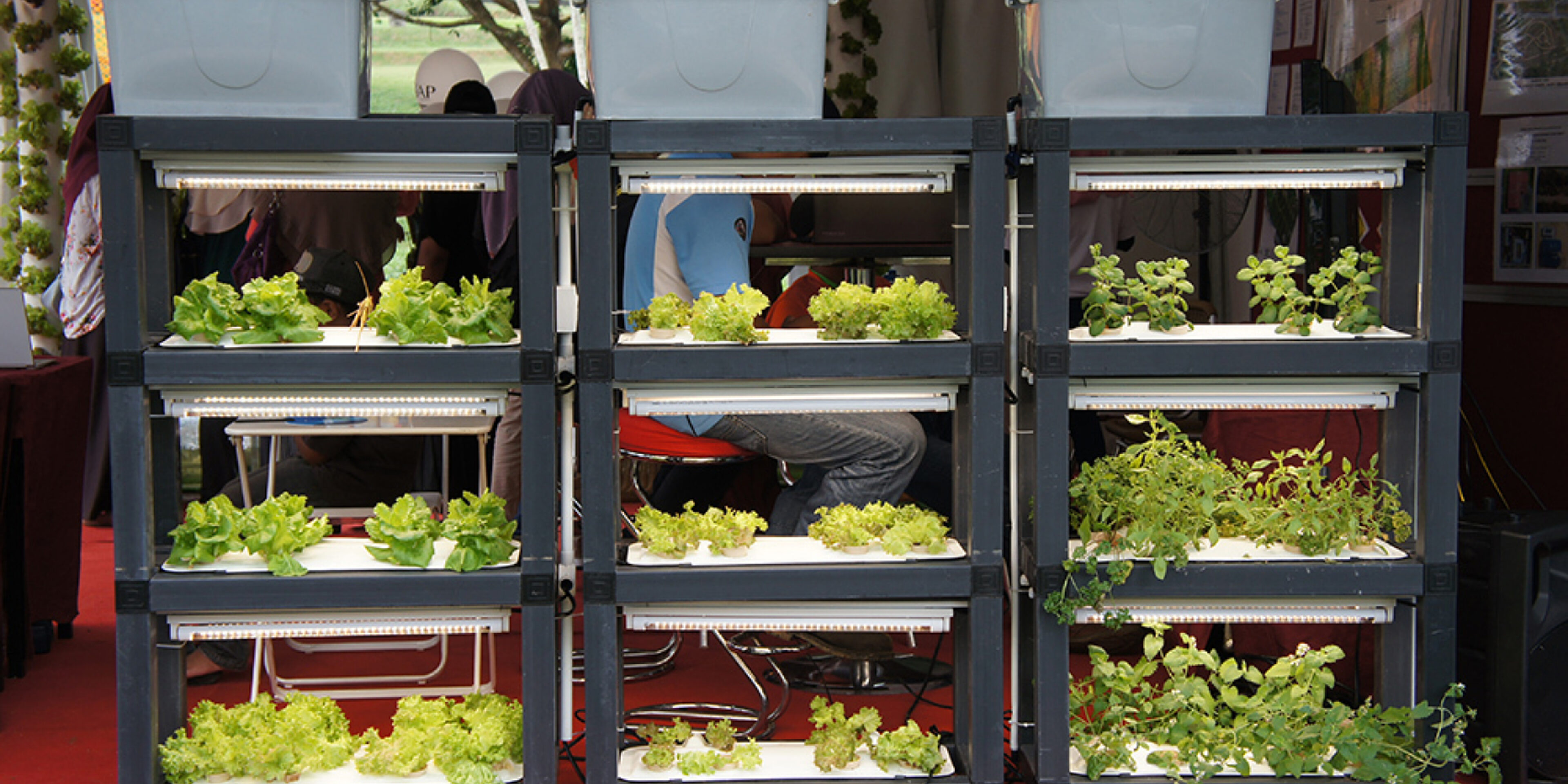 Optimize Cannabis Grow Space with Mobile Racking Systems | Caster ...