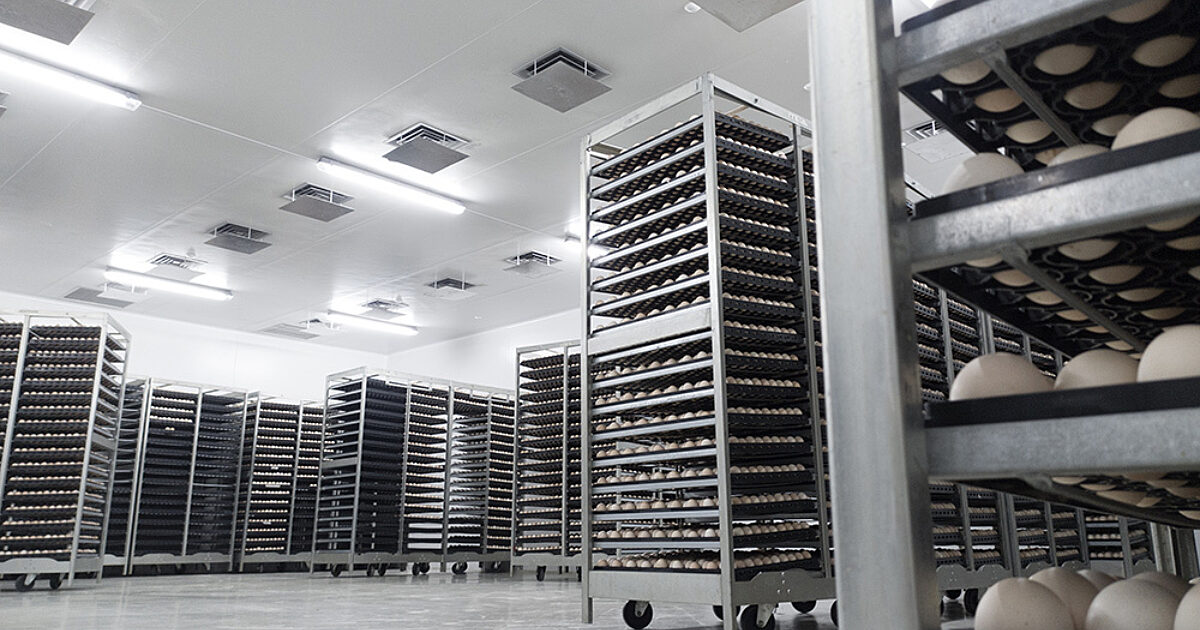 Best Casters for Walk-In Coolers and Cold Storage Tanks | Caster Connection