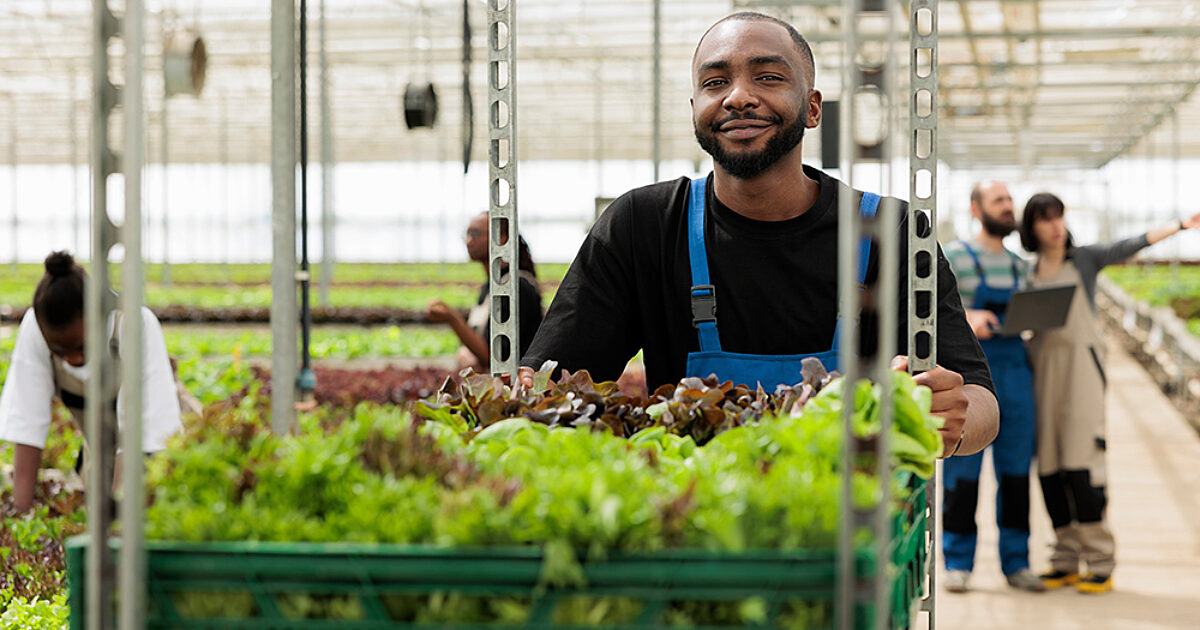 How Ergonomic Casters Improve Employee Wellbeing in Cannabis ...